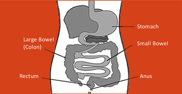 Colorectal Cancer - Hong Kong Cancer Fund (HKCF)